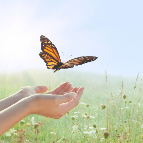 Releasing Blocked Energy – Kate Shipp